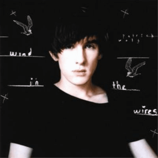 Wind in the Wires Patrick Wolf (CD) - Walmart.com