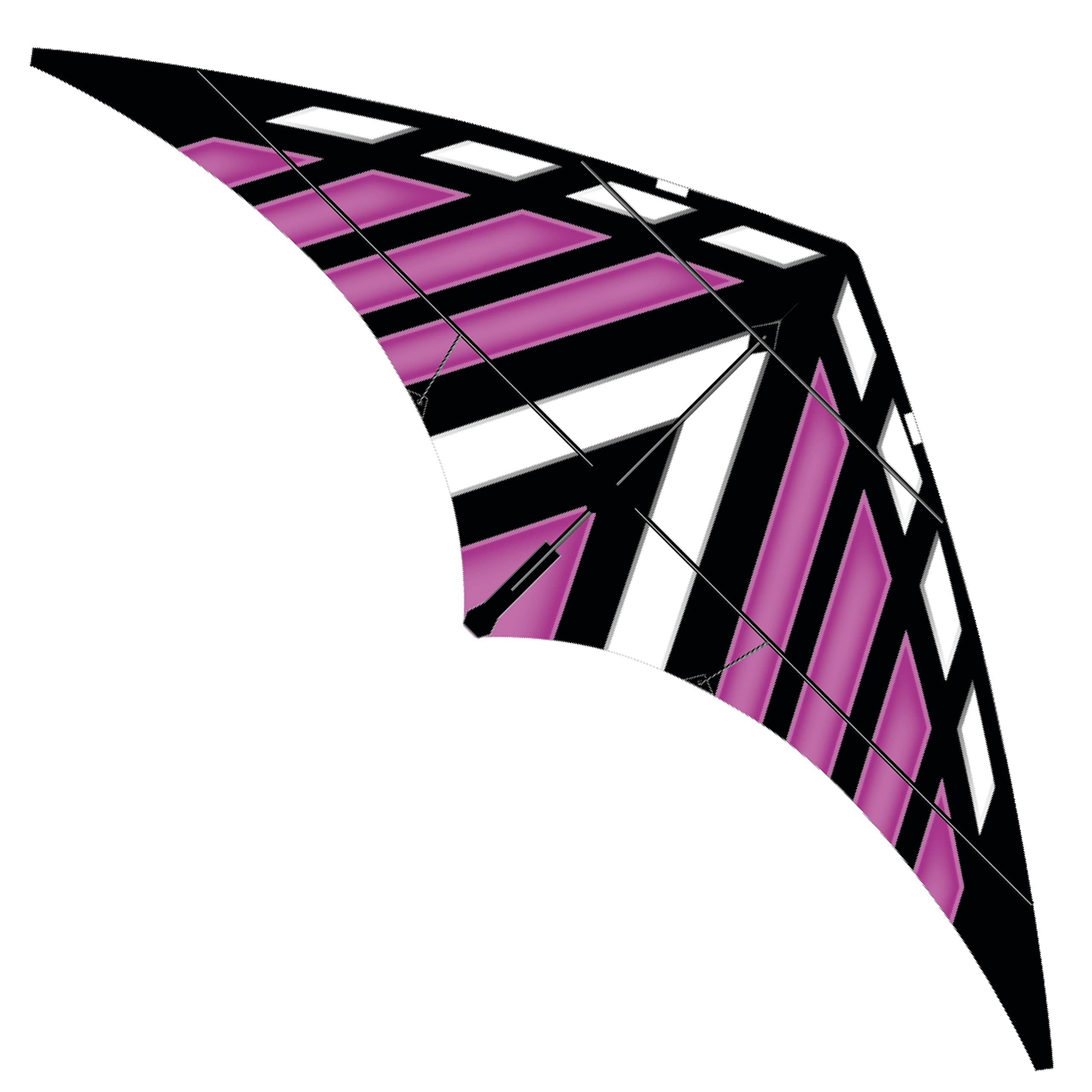 WindNSun Stunt Kites - Intro, Travel, and Competition Dual Line 2 ...