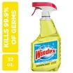 Windex Multi-Surface Disinfecting Cleaning Spray, Antibacterial, Citrus ...