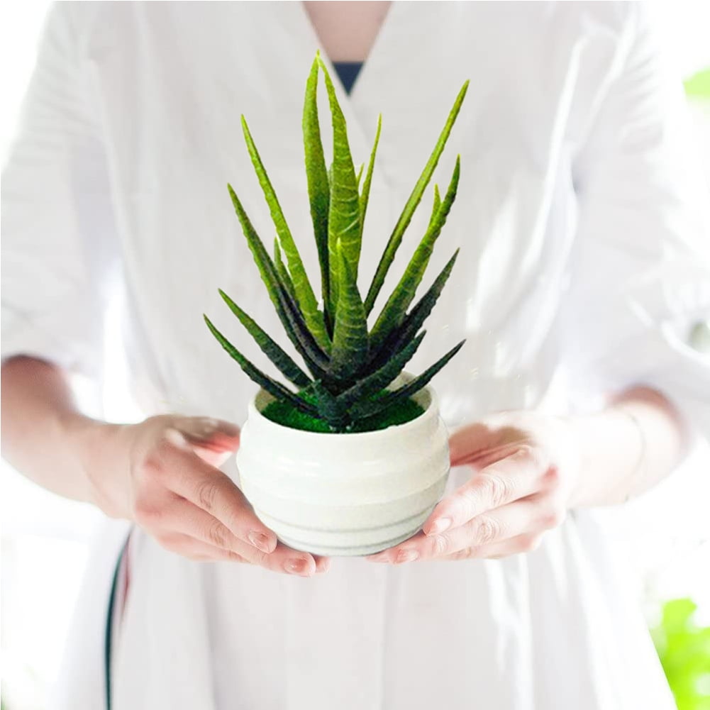 Windfall Artificial Succulents Mini Realistic Fake Plants with Plastic ...