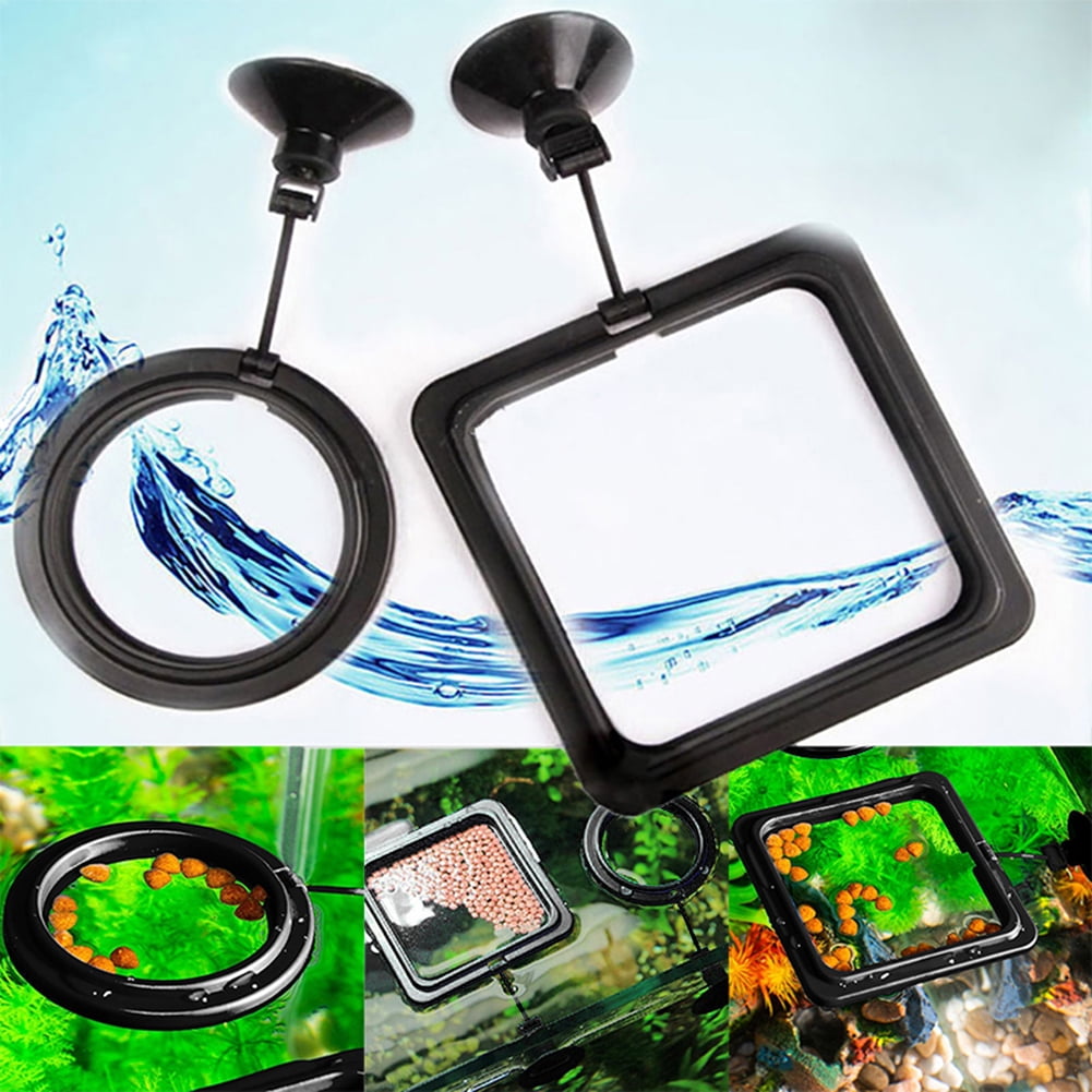 Windfall Fish Tank Floating Food Feeder Buoyancy Ring Suction Cup Pool ...