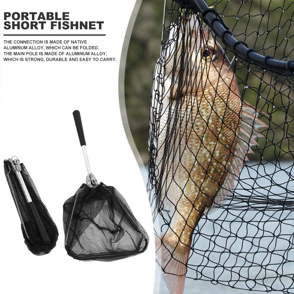 Windfall Portable Fishing Landing Net 1 PC Telescopic Triangle Fishing ...