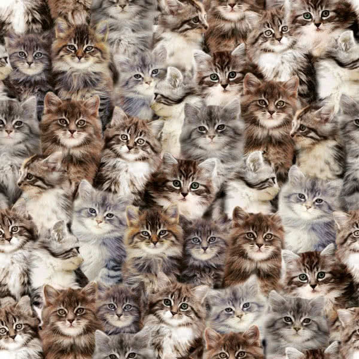 Windham Fabrics One Of A Kind Kittens Multi - Walmart.com