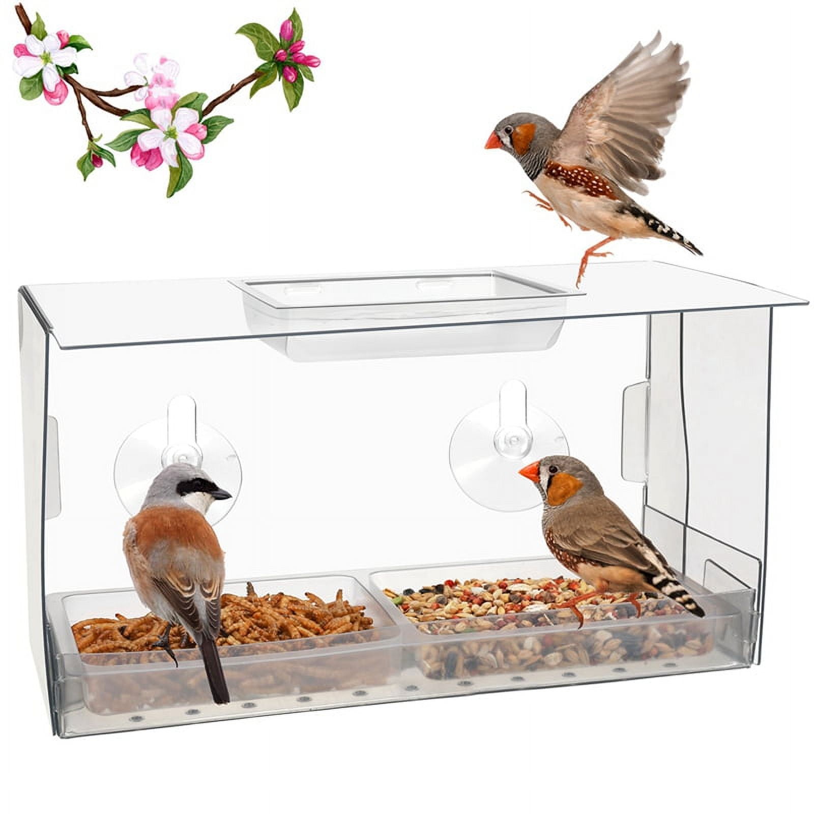 Window Bird Feeder. Birds Feed Undisturbed Whilst You Watch. Innovative ...