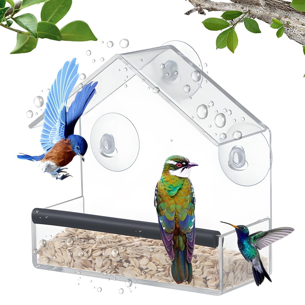 Window Bird Feeder for Outside Viewing, 2025 New Window-Mounted Bird ...