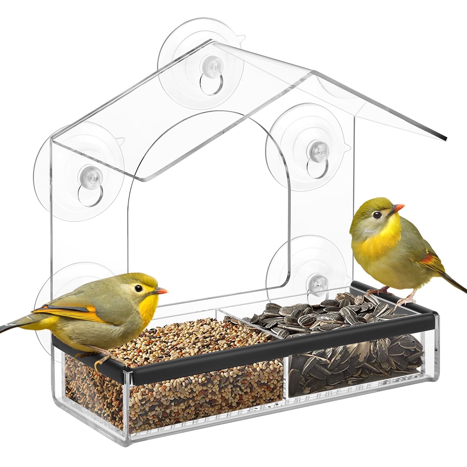 Window Bird Feeder with Strong Suction Cups - Great for Cats, Squirrels ...