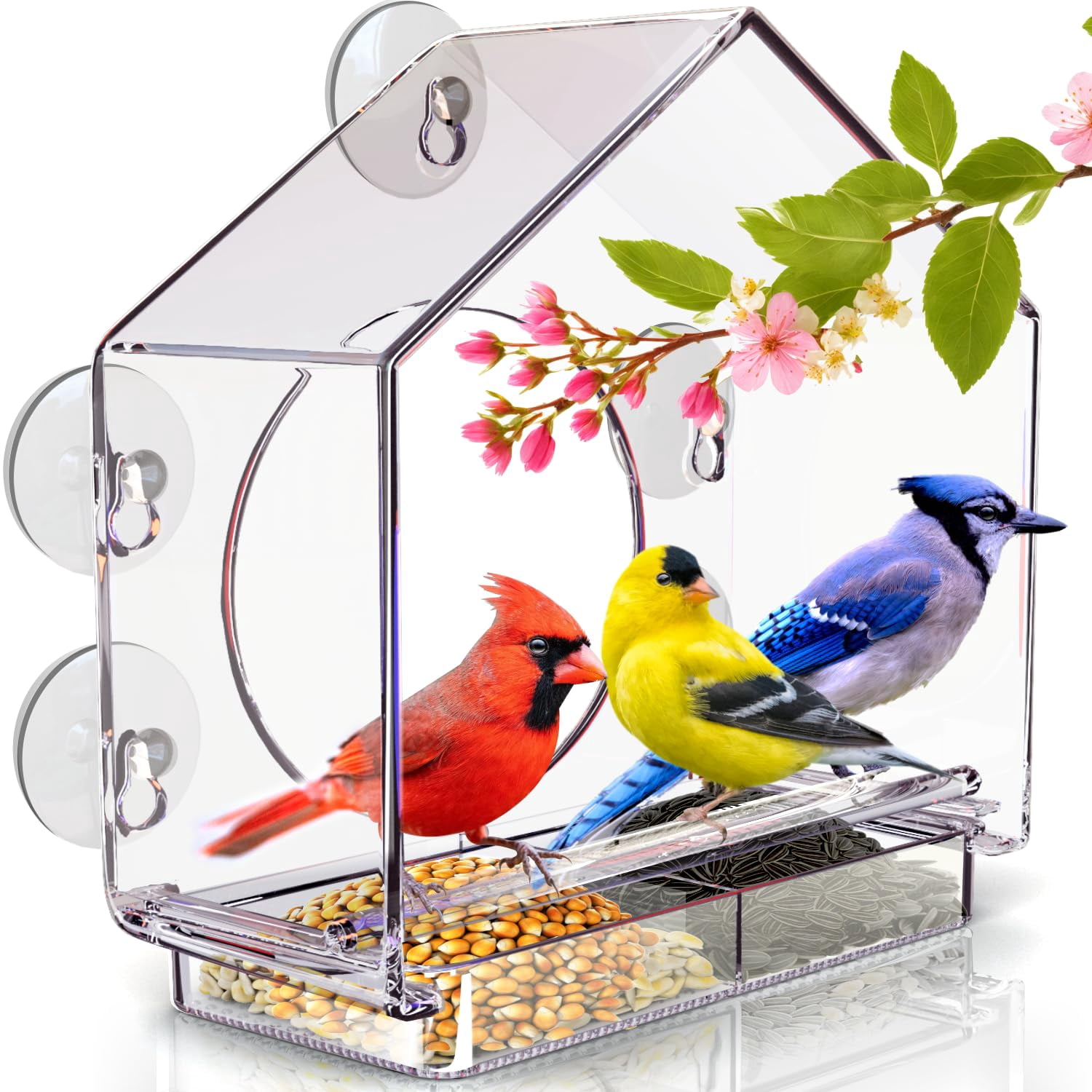 Window Bird Feeder - Weather Proof Transparent Acrylic Bird Feeders for ...