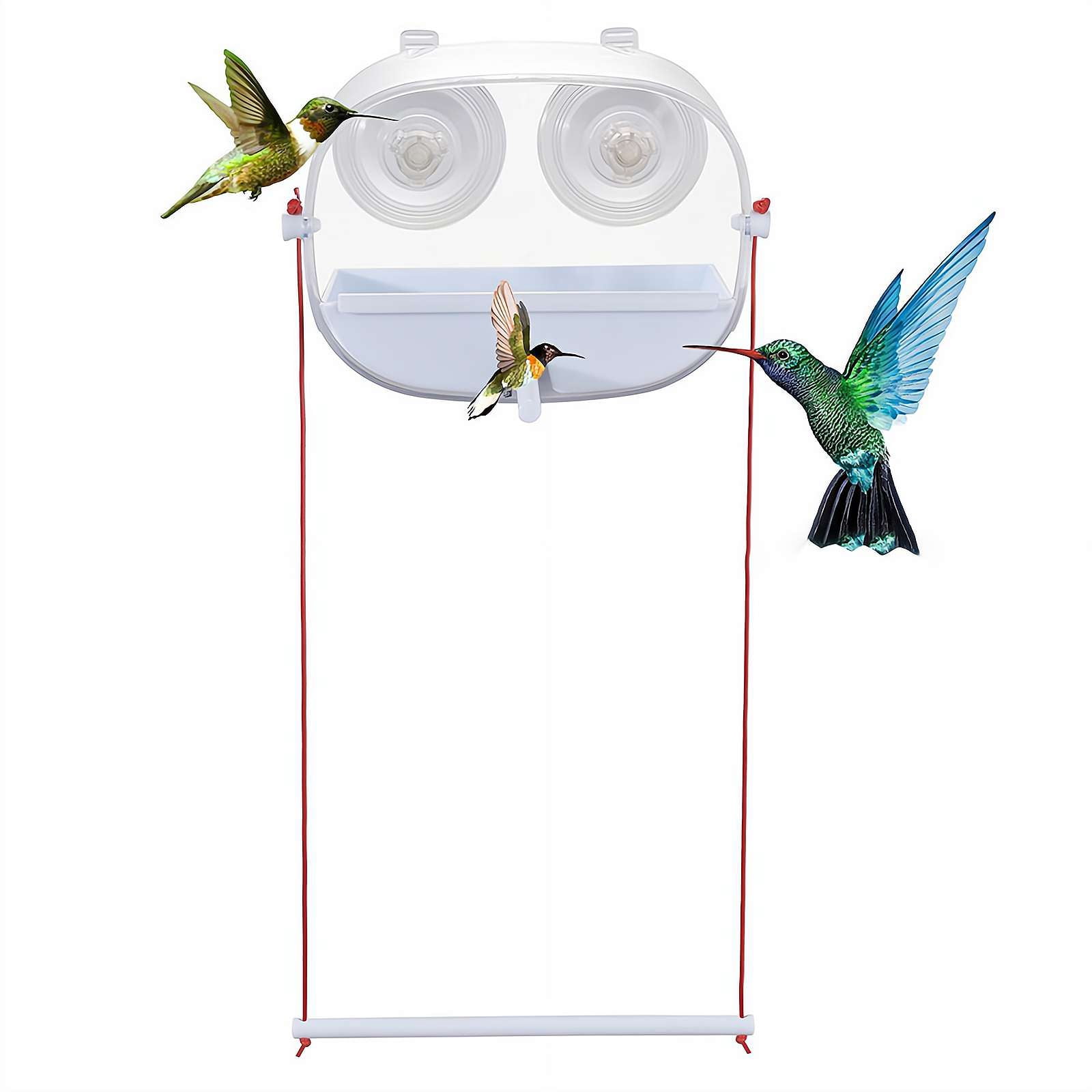 Window Bird Feeder with Strong Suction Cups, Clear Window Bird Feeder ...