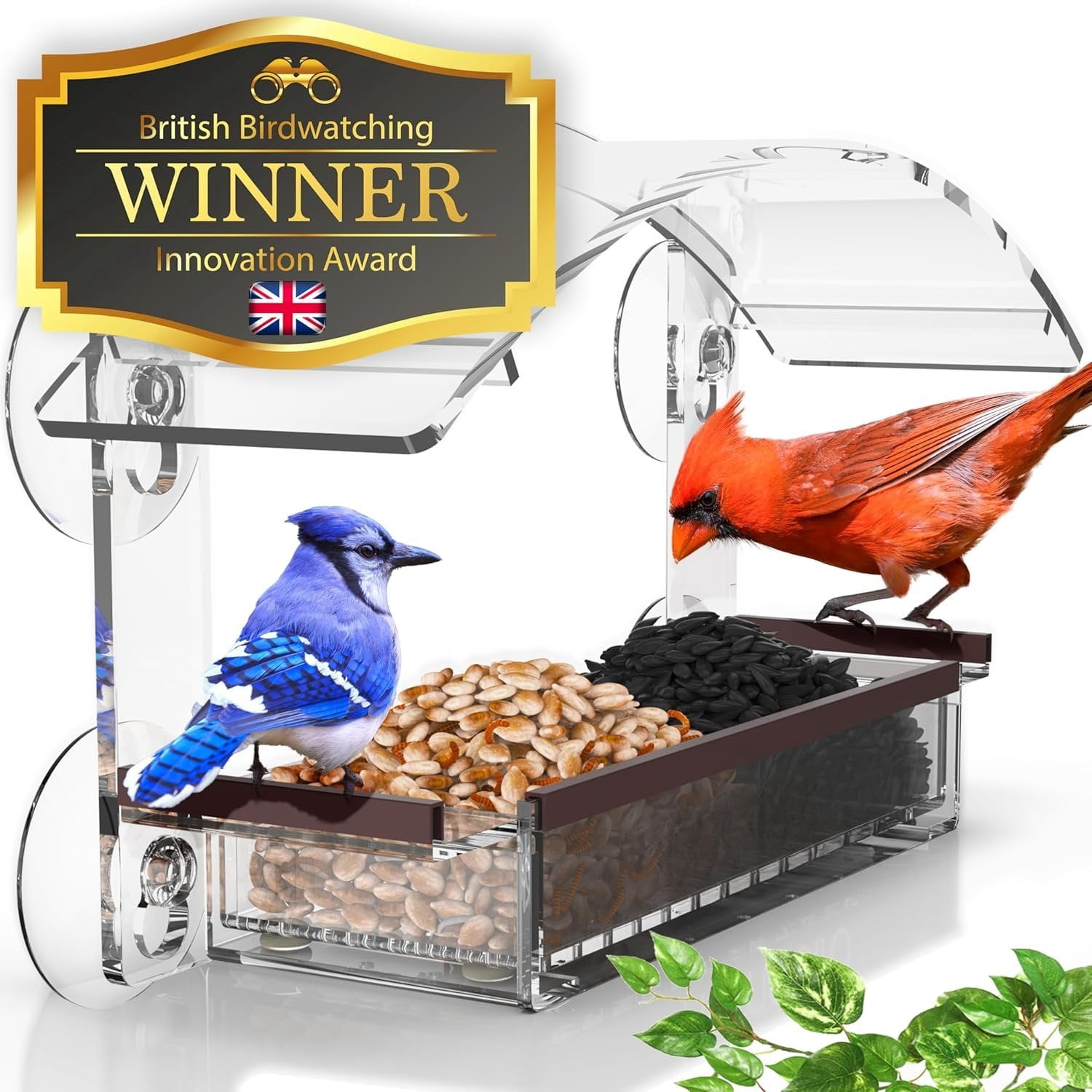 Window Bird Feeder with Suction Cups - (Upgraded 2026 Model) Clear ...