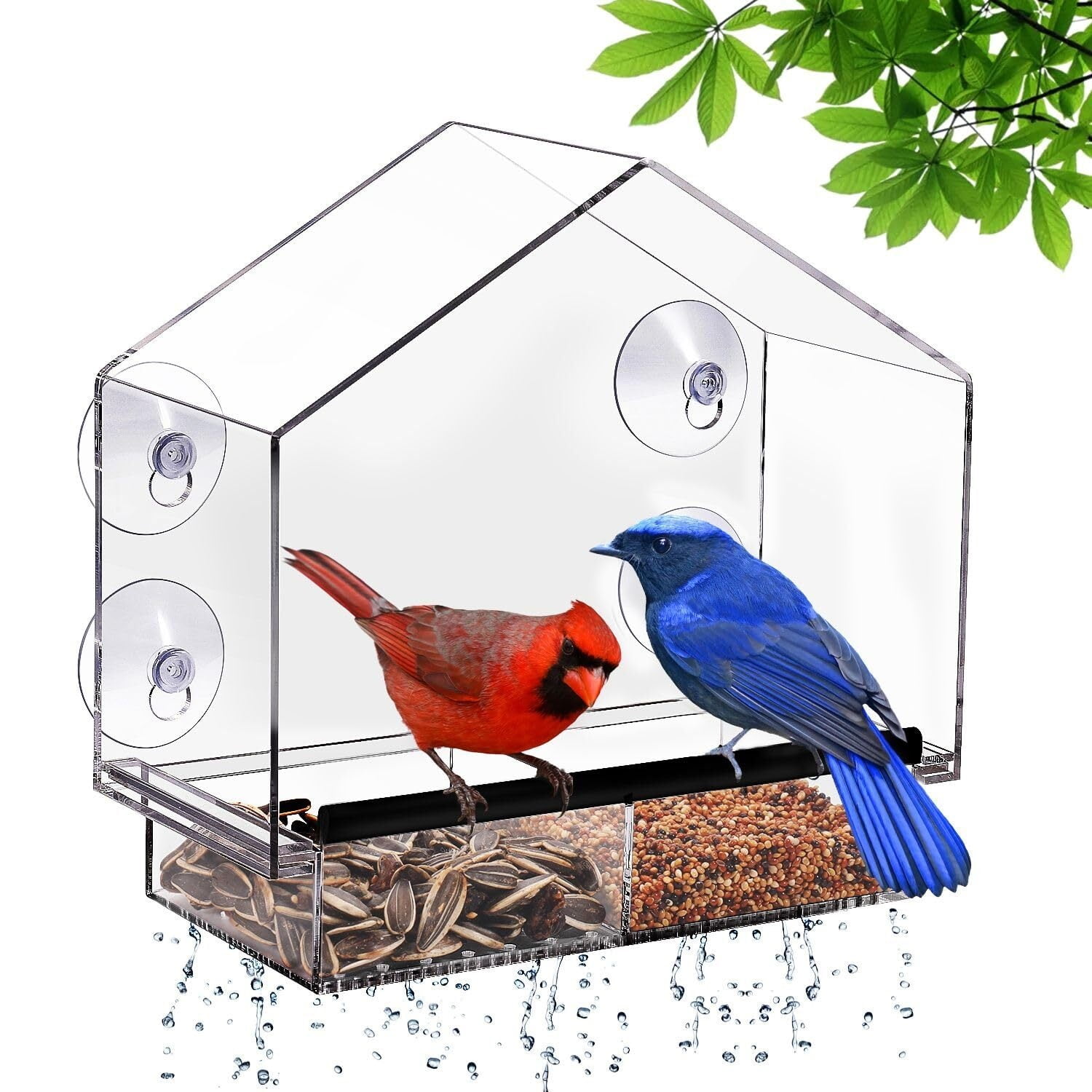 Window Bird Feeders with Strong Suction Cups - Acrylic Window Bird ...