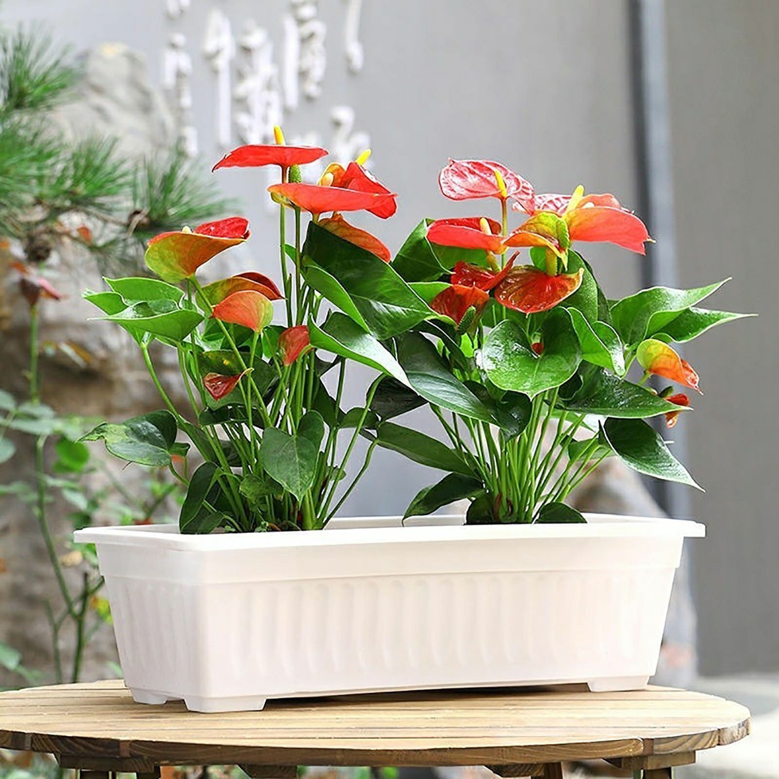 Window Box Planter Flower Pot Lawn Outdoor Indoor Holder with Drainage ...
