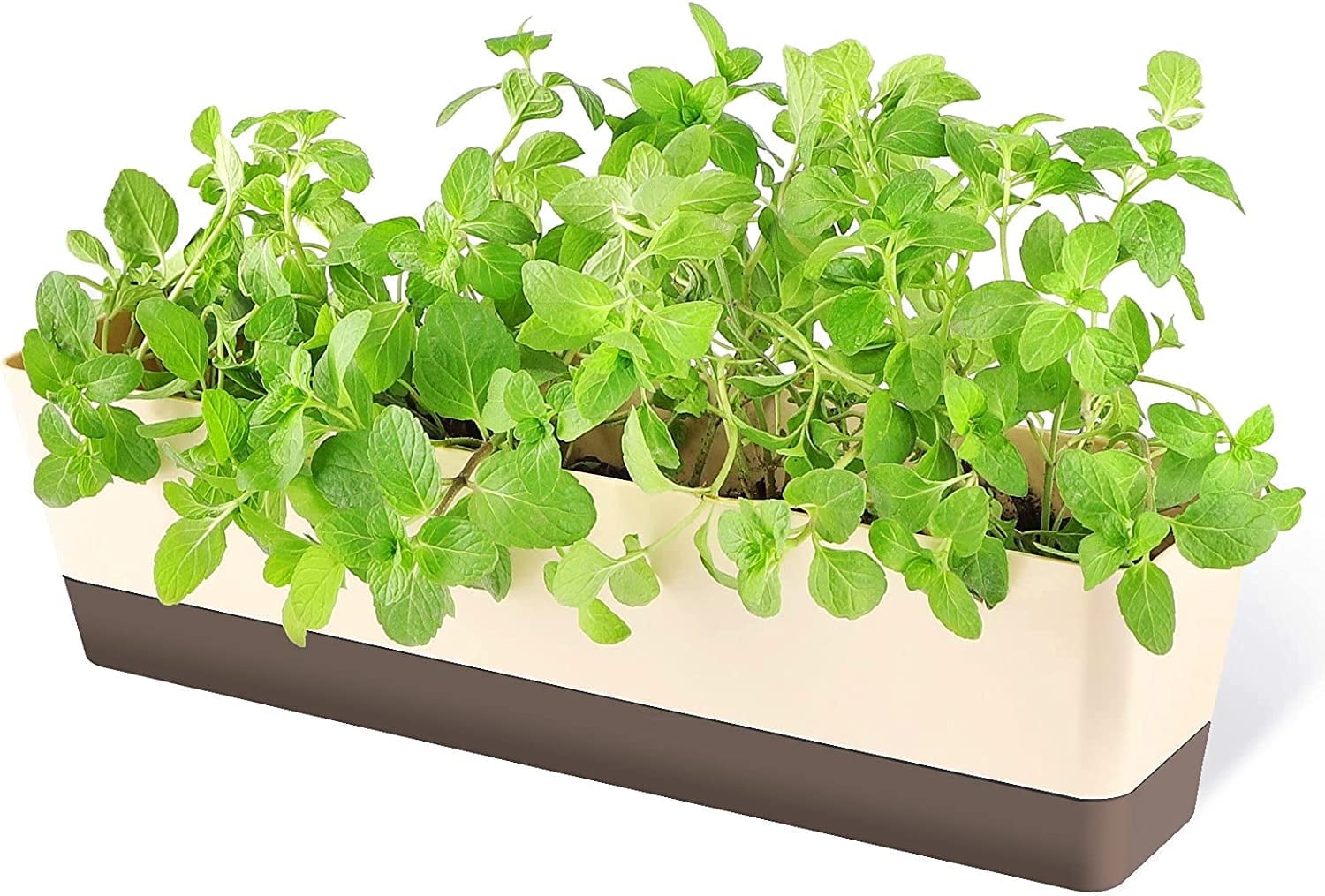 Torubia 16x3.8 Inch Window Box Planter with Saucer, Indoor/Outdoor, for ...