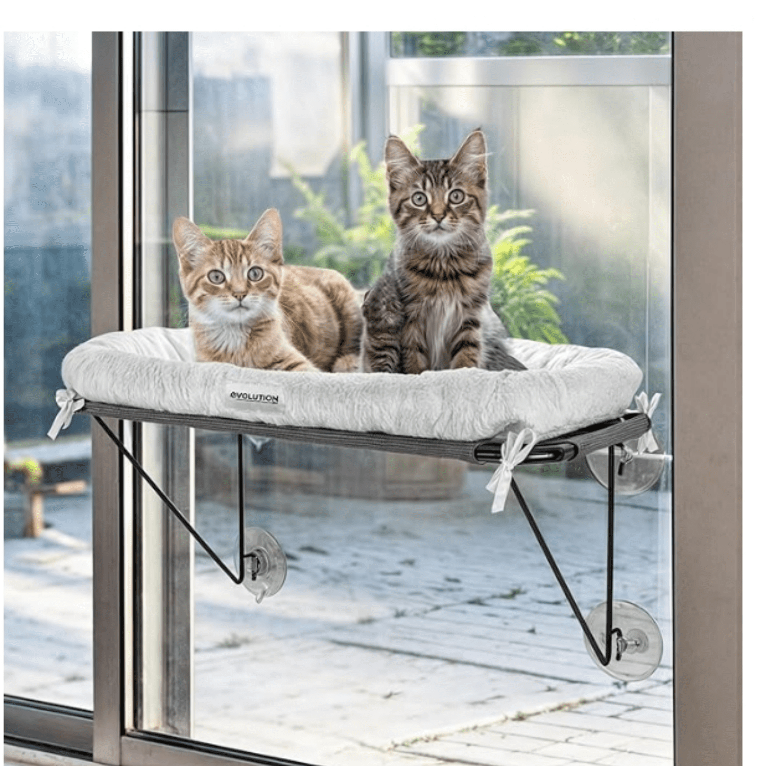 Window Cat Perch, Durable Cat Window Bed, , Elevated Cat Bed Cat ...
