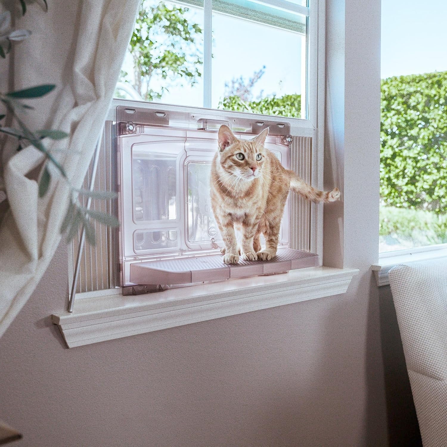 Window Catio & Perch – Premium Outdoor Freedom & Indoor Joy for Cats ...