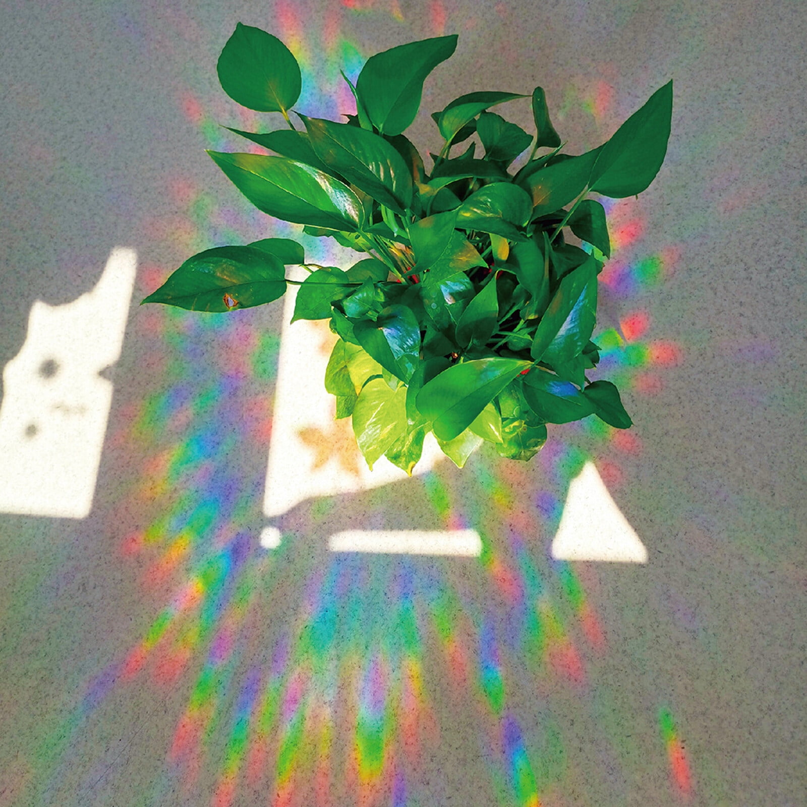 Window Clings,3 -collision Window Diy Leaves Theme Removable Pvc ...