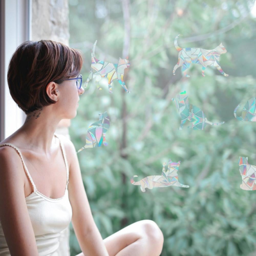 Window Clings - Crash Proof Window Decal Protects Birds from Window ...