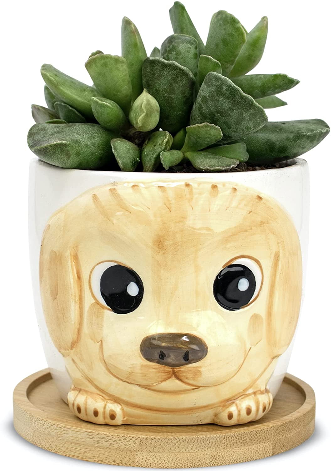 Window Garden Animal Planter - Large Puppy Pot (Cali) for Indoor Live ...
