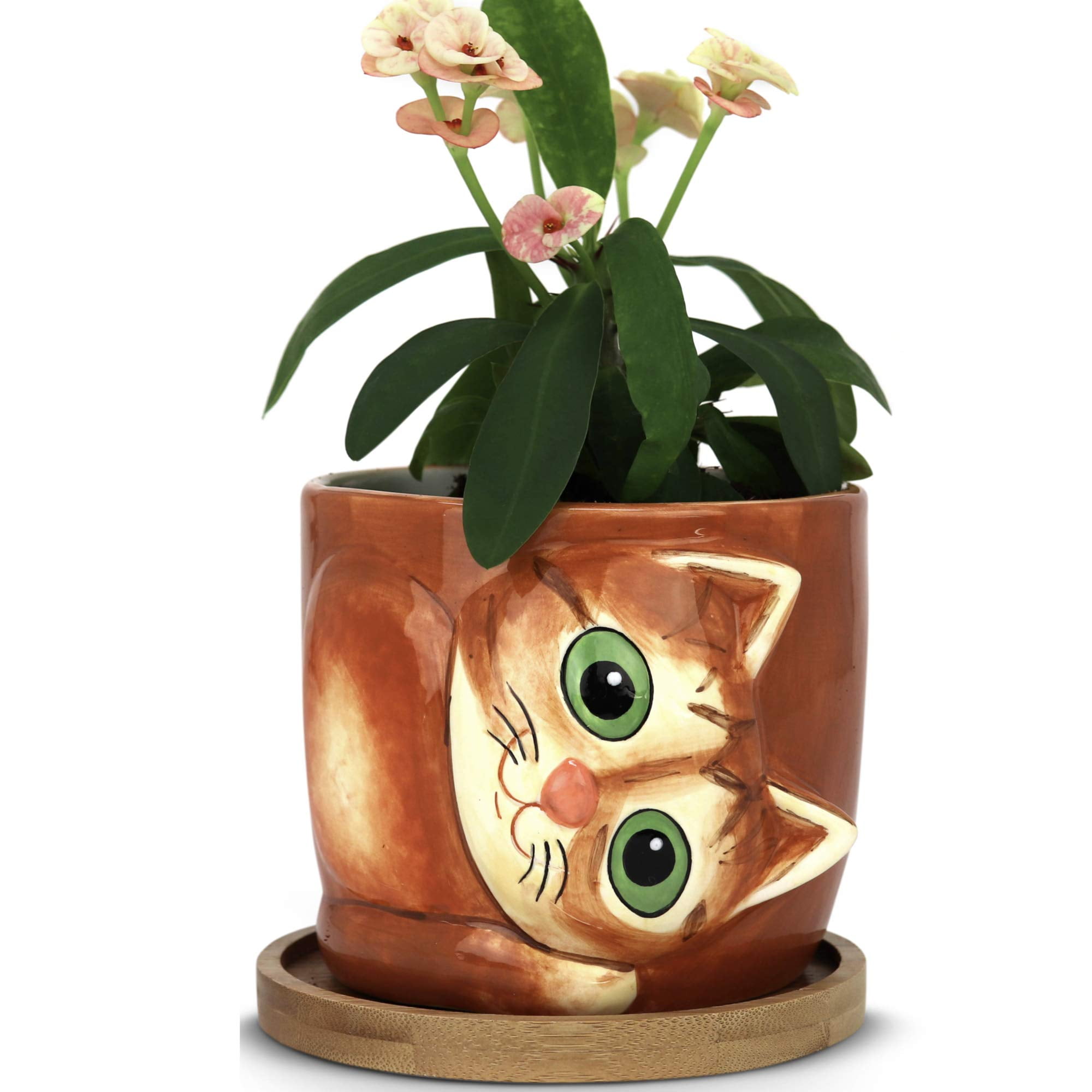 Window Garden Large Kitty Pot - Adorable Cat Plant Flower Box for ...