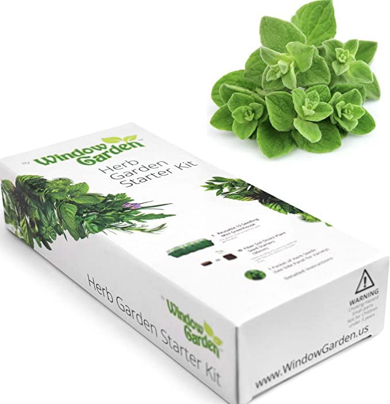 Window Garden Easy Indoor Oregano Herb Starter Kit - Grow Your Own Food ...