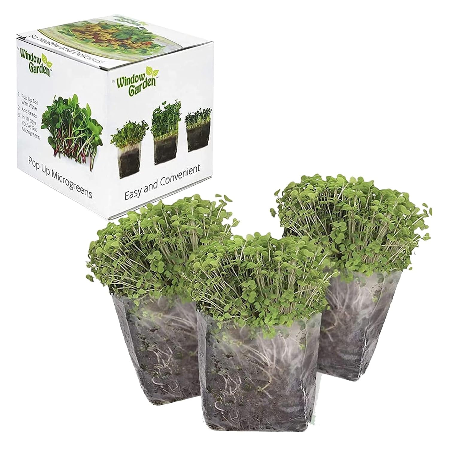 Window Garden Broccoli Microgreens Growing Kit with 3qts Organic Soil ...