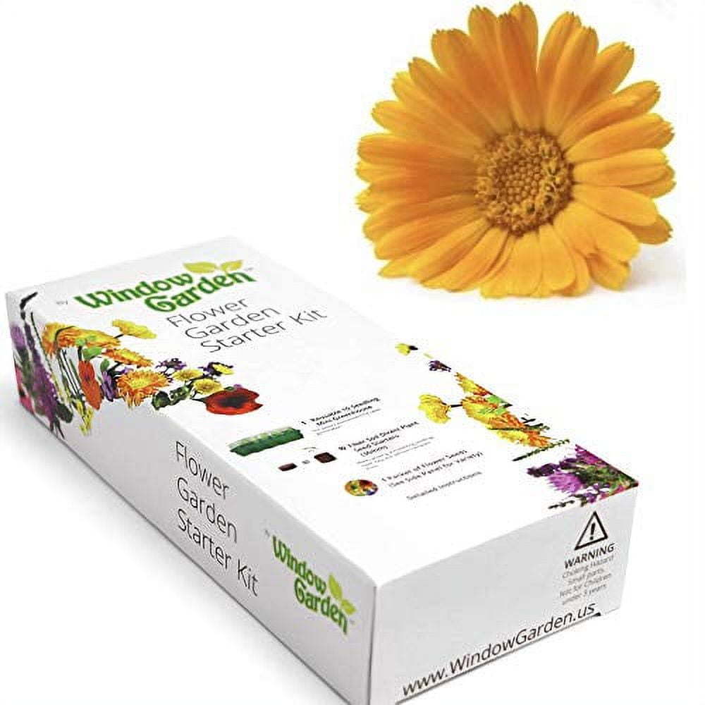 "Window Garden - Calendula Flower Starter Kit - Grow Your Own Beauty ...