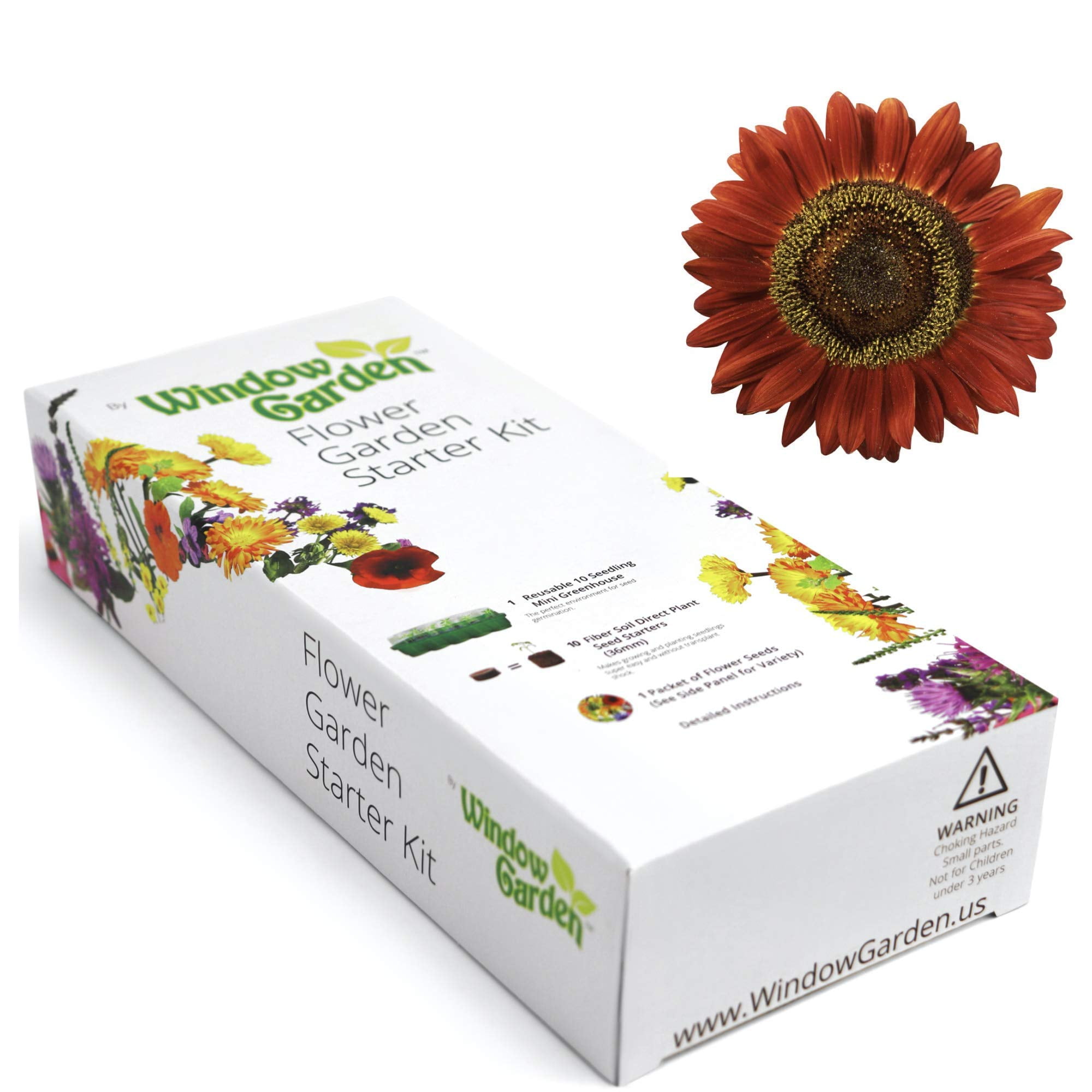 Window Garden - Evening Sun Sunflower Flower Starter Kit - Grow Beauty ...