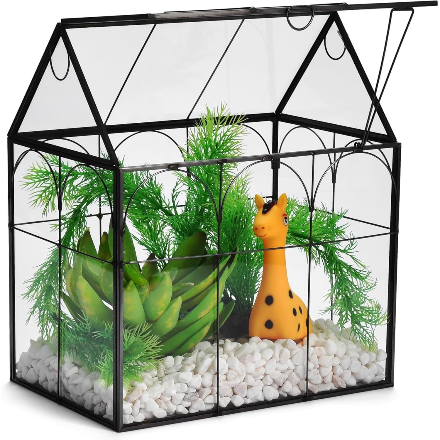 Window Garden Glass Terrarium with Lid - 9x11x6-Inch Indoor Greenhouse ...