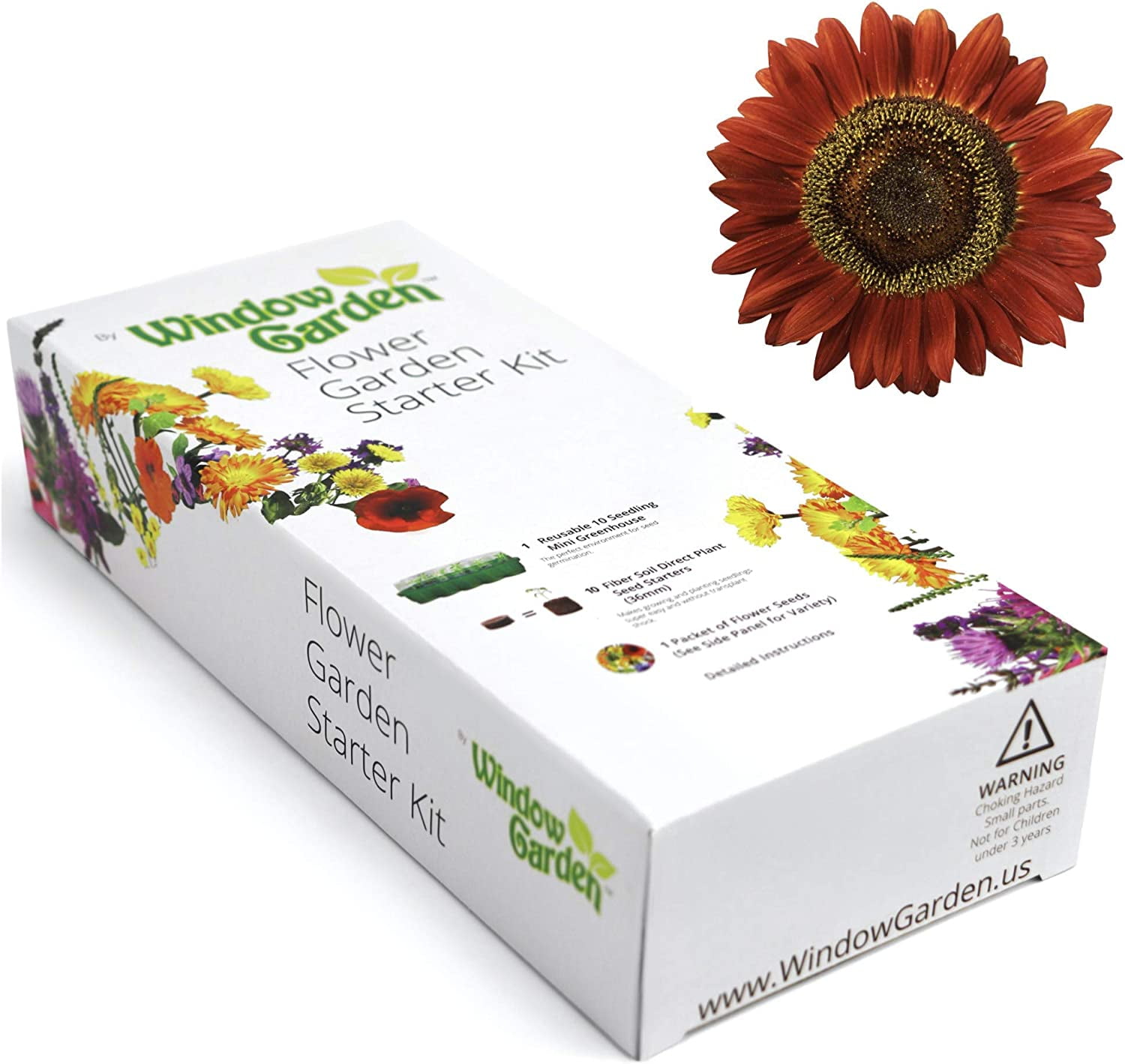 Window Garden - Lemon Queen Sunflower Flower Starter Kit - Grow Beauty ...