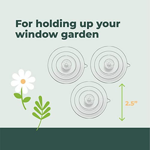 Window Garden Replacement Suction Cups - 12 Clear, Large Super Strong ...