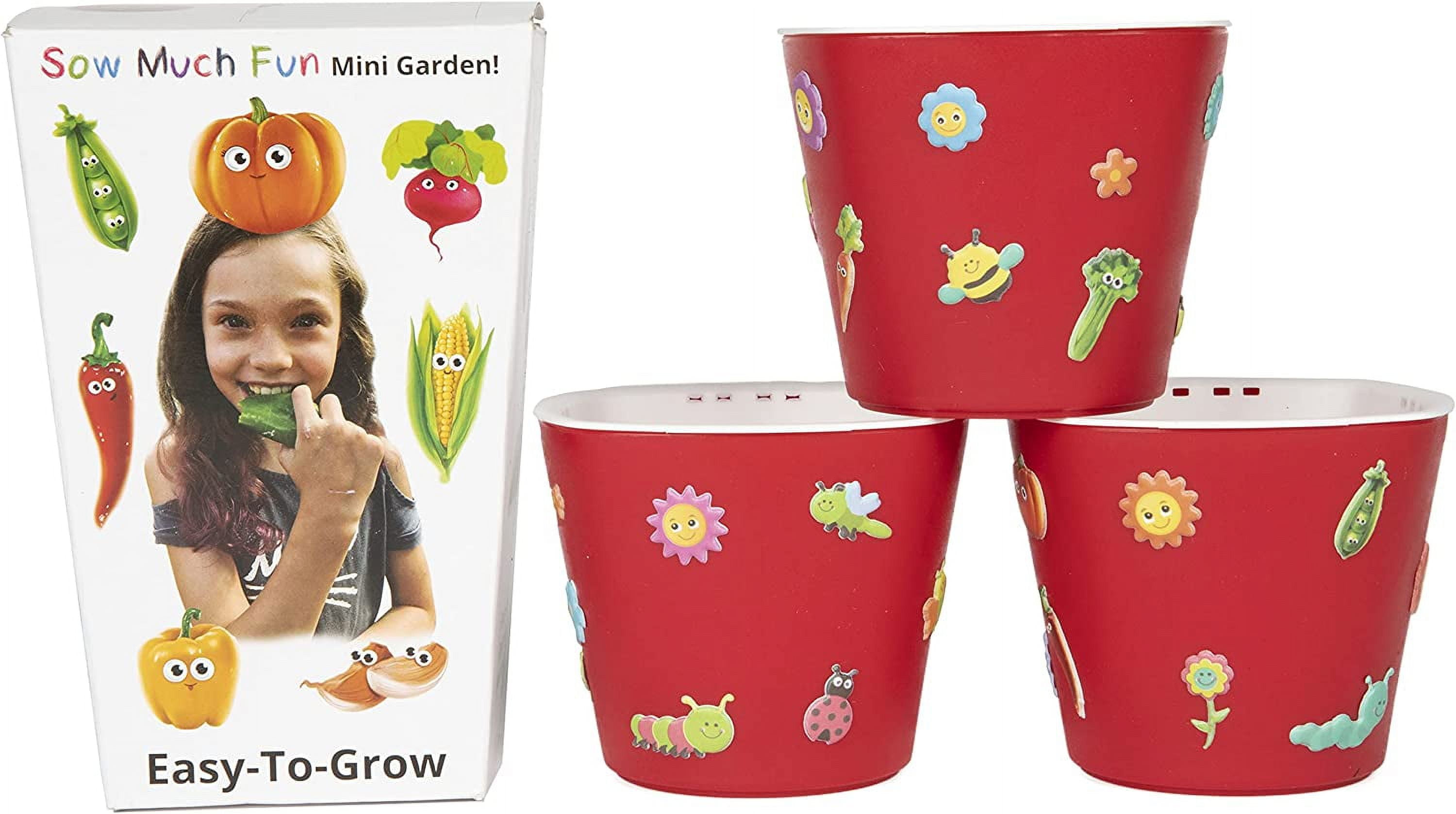 Window Garden Sow Much Fun Seed Starting Kit, Childrens Vegetable ...