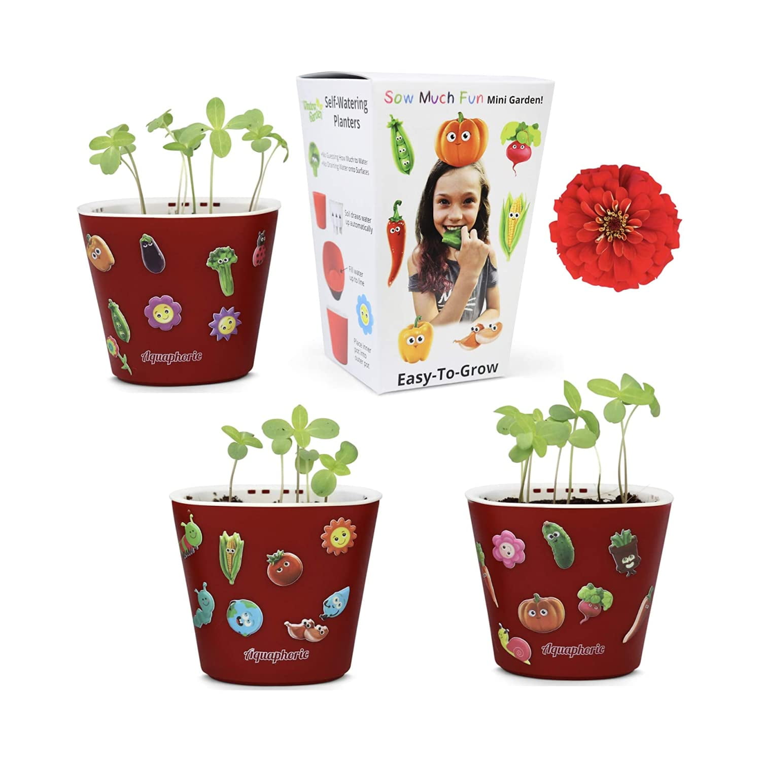 Window Garden Sow Much Fun Seed Starting Vegetable Growing Kit ...