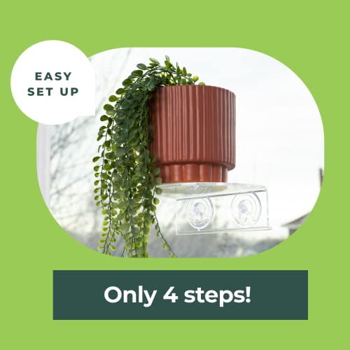 Window Garden Veg Ledge - Window Shelf for Plants, Clear Acrylic ...