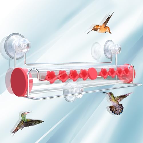 Window Hummingbird Feeder,Suction Cup Hummingbird Feeder for Window ...