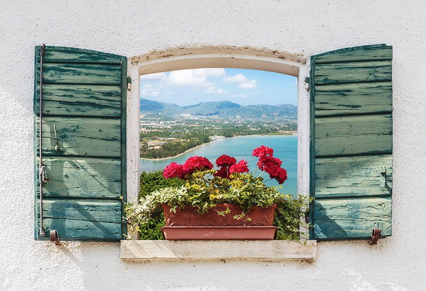 Window Landscape Wall Tropical Tree Home ration Sea Sunrise Home Dorm ...