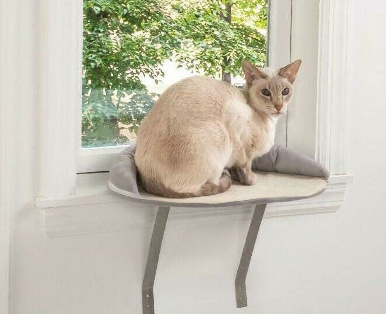 Window Mount Pet Cat Bed, Kitty Perch Hammock Window Perch Cat Window ...