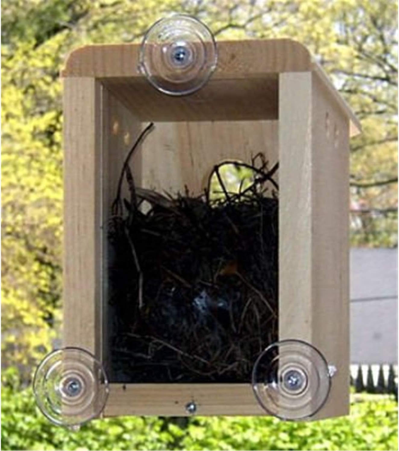 Window Nest Box DIY Kit | Build-Your-Own house for Windows | 1.25 ...