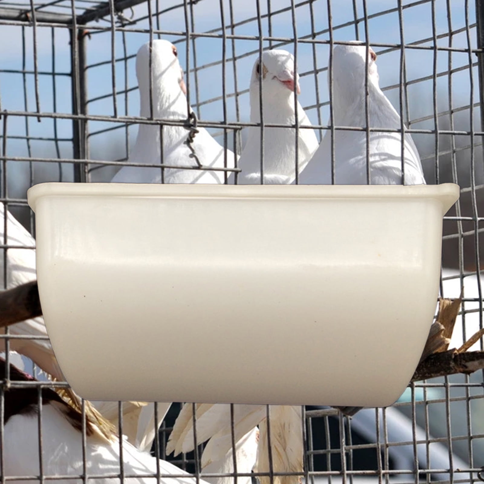 Window Pet Bird Water Feeder Cup Standing Frame Plastic Bird Food ...