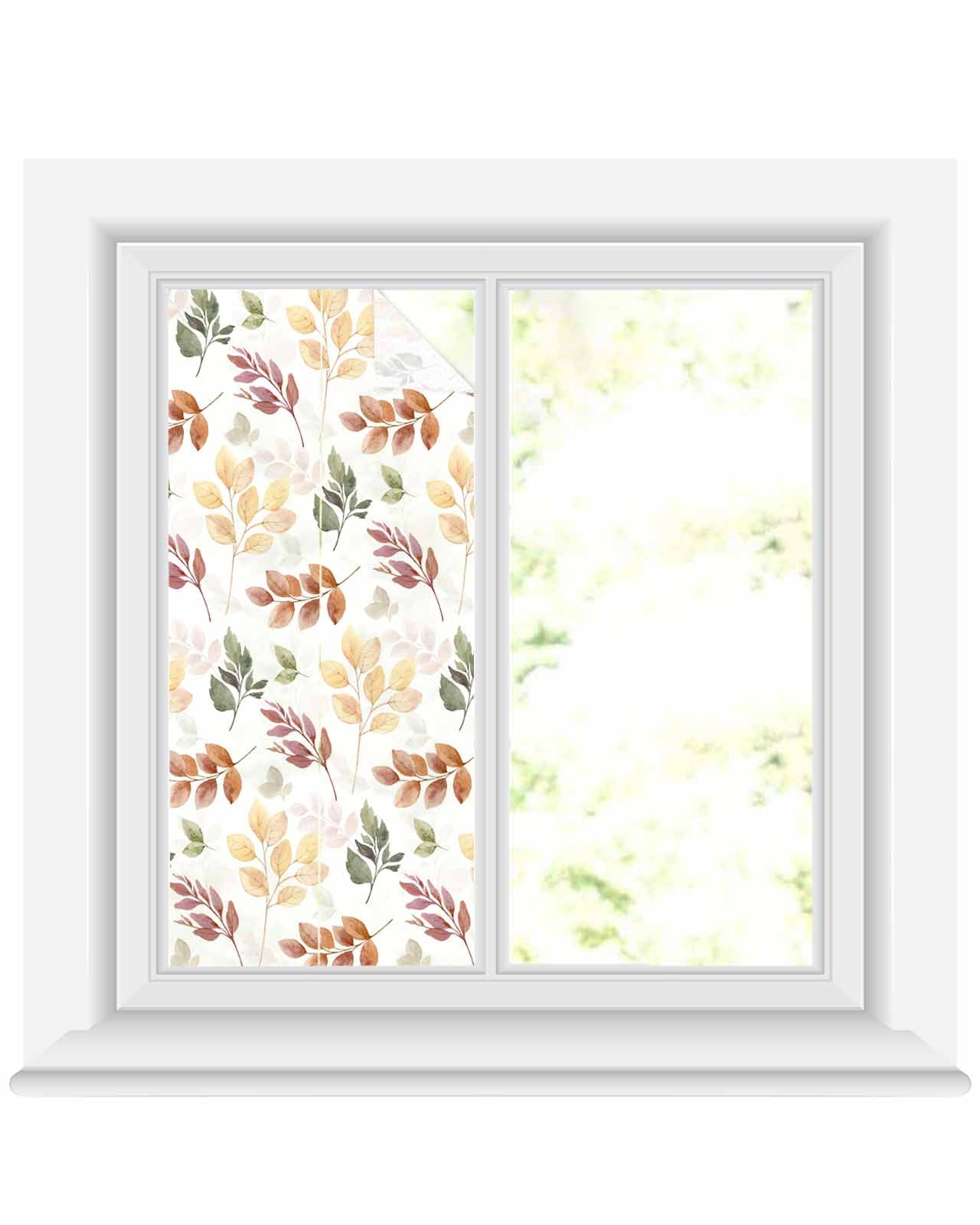 Window Privacy Film, Green Orange Yellow Eucalyptus UV Sun Blocking ...