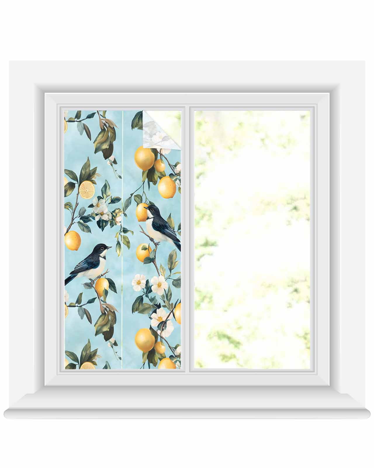 Window Privacy Film Lemon Bird Stained Glass Window Film Decorative Sun ...