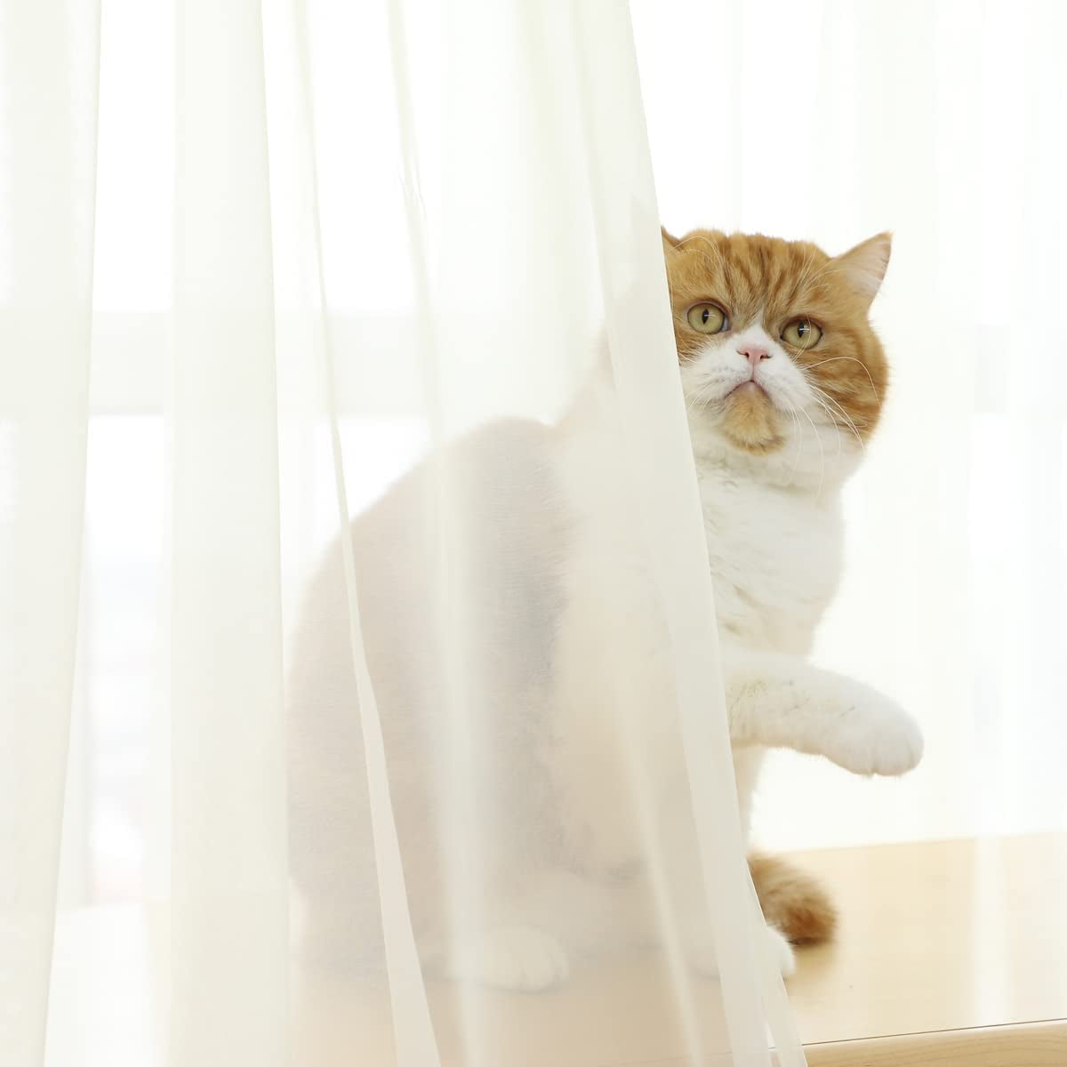 Window Sheer Beige Curtains 150 Inches Long 2 Panels Beige Sheer ...