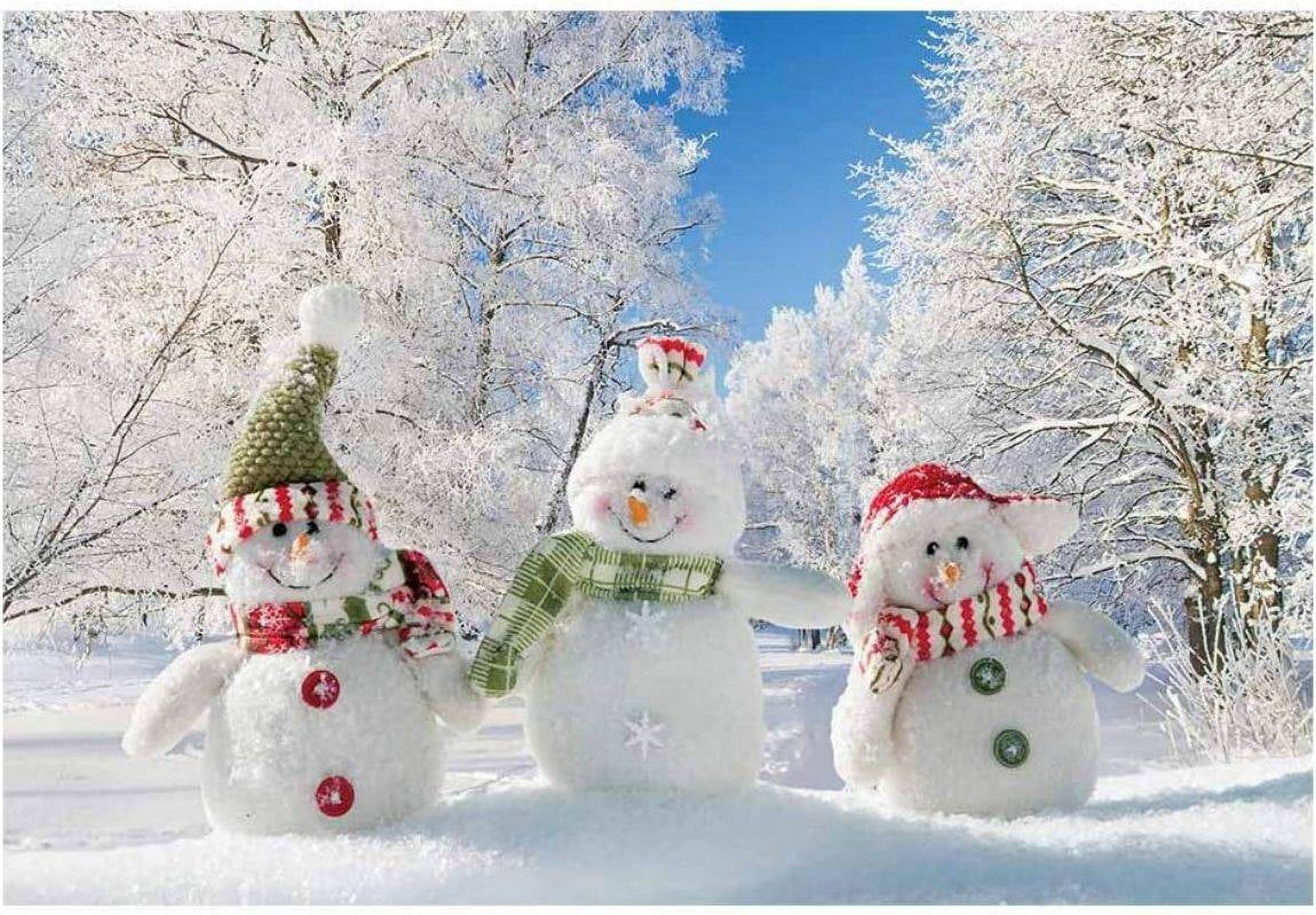 Window Snow Scene Backdrop Winter Wonderland Forest Background for ...