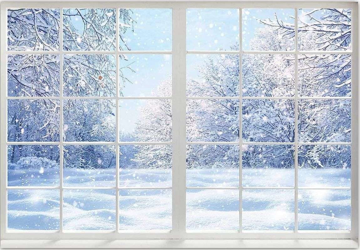 Window Snow Scene Backdrop Winter Wonderland Forest Background for ...