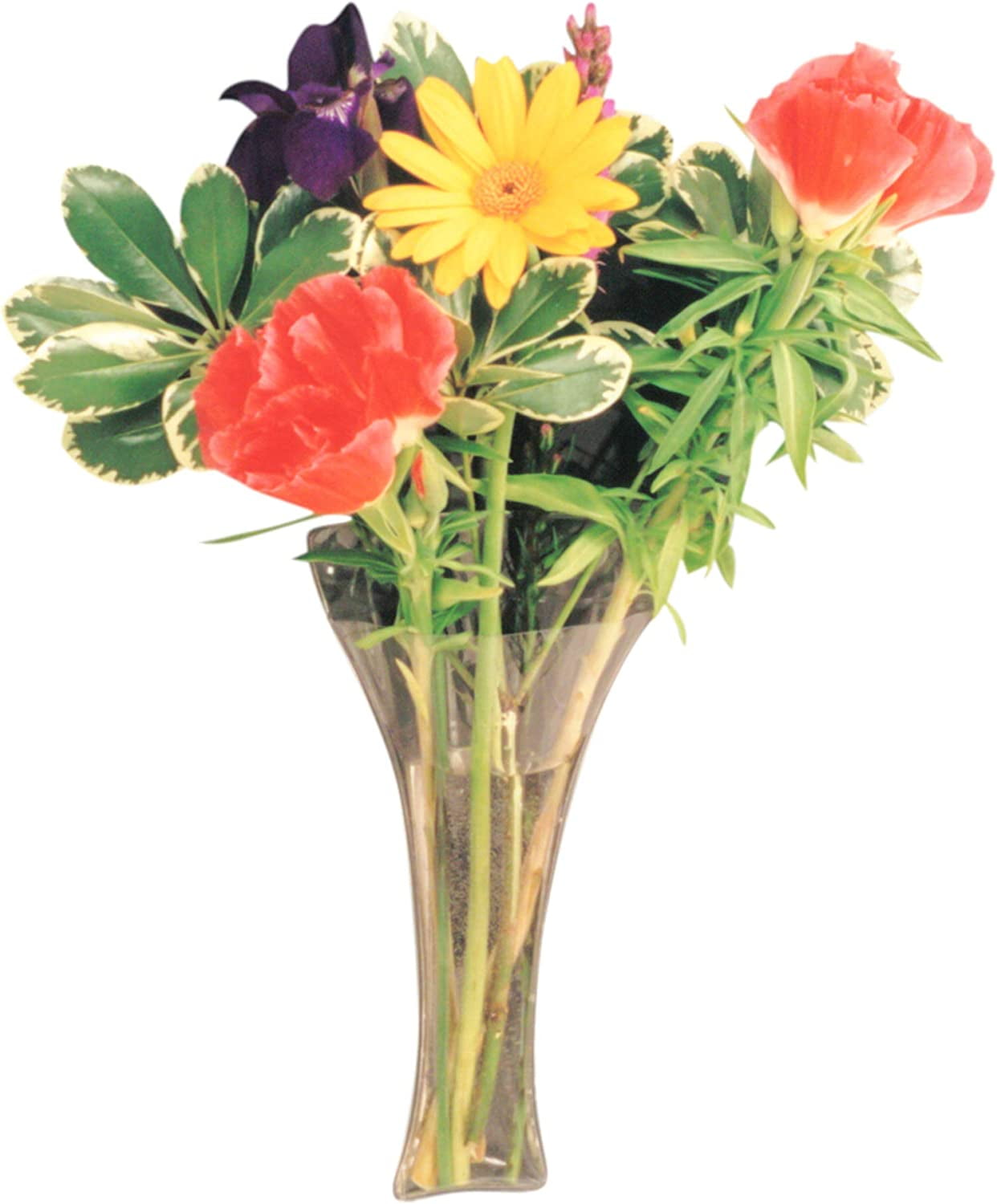 Window Vase Trumpet Flexible Vase - Attaches to Windows, Mirrors, or ...