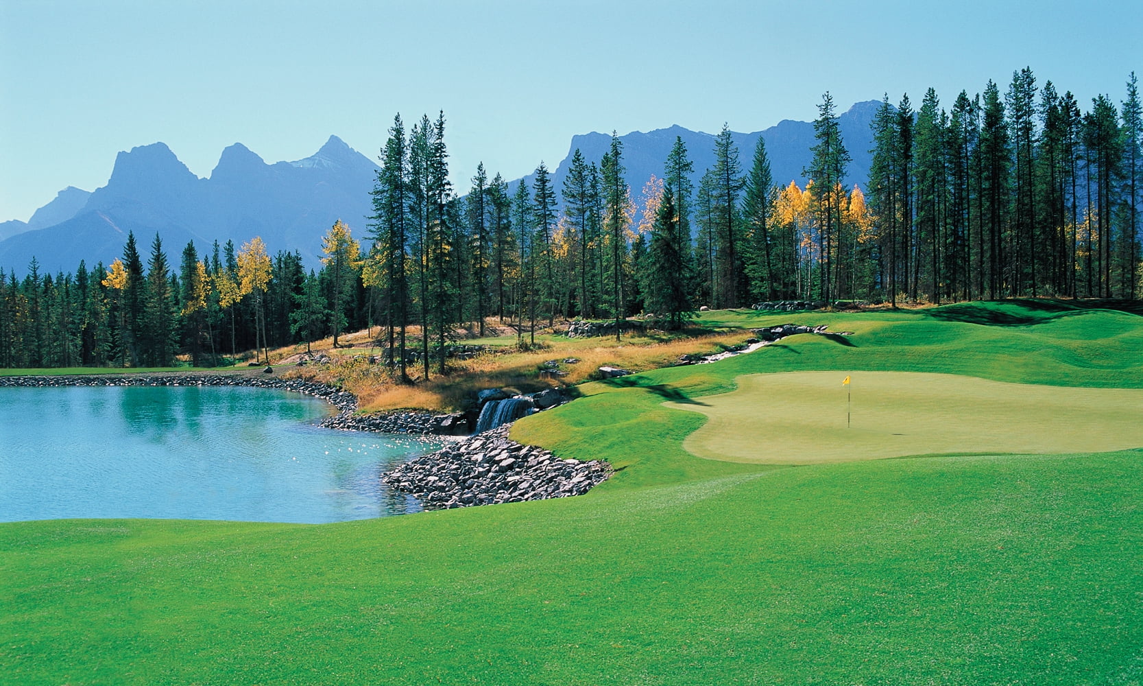 Window Well Scene-Golf 90" X 60" - Walmart.com