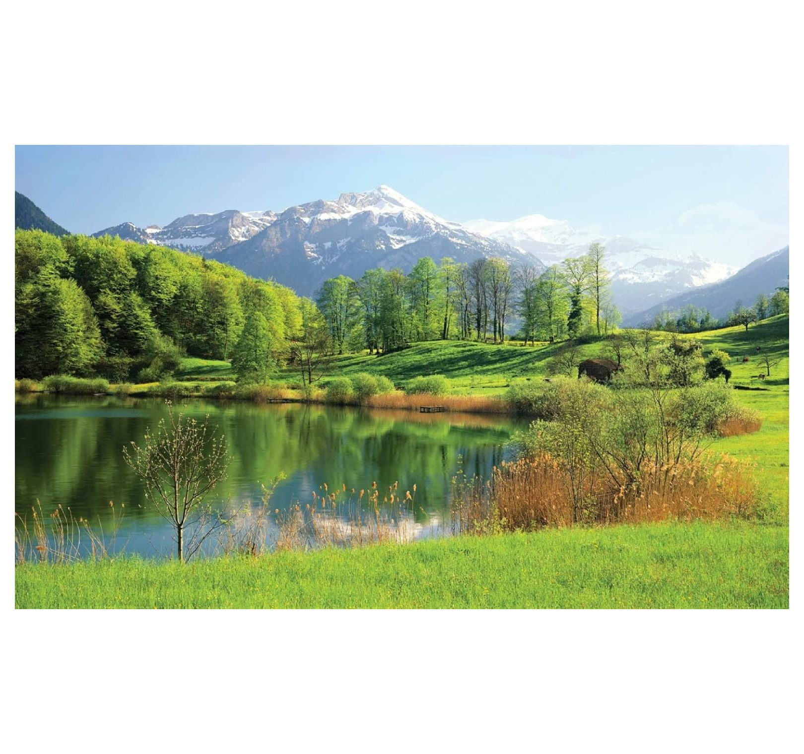 - Window Well Scenes Wall Art- Lake, 60" x 120" - Walmart.com