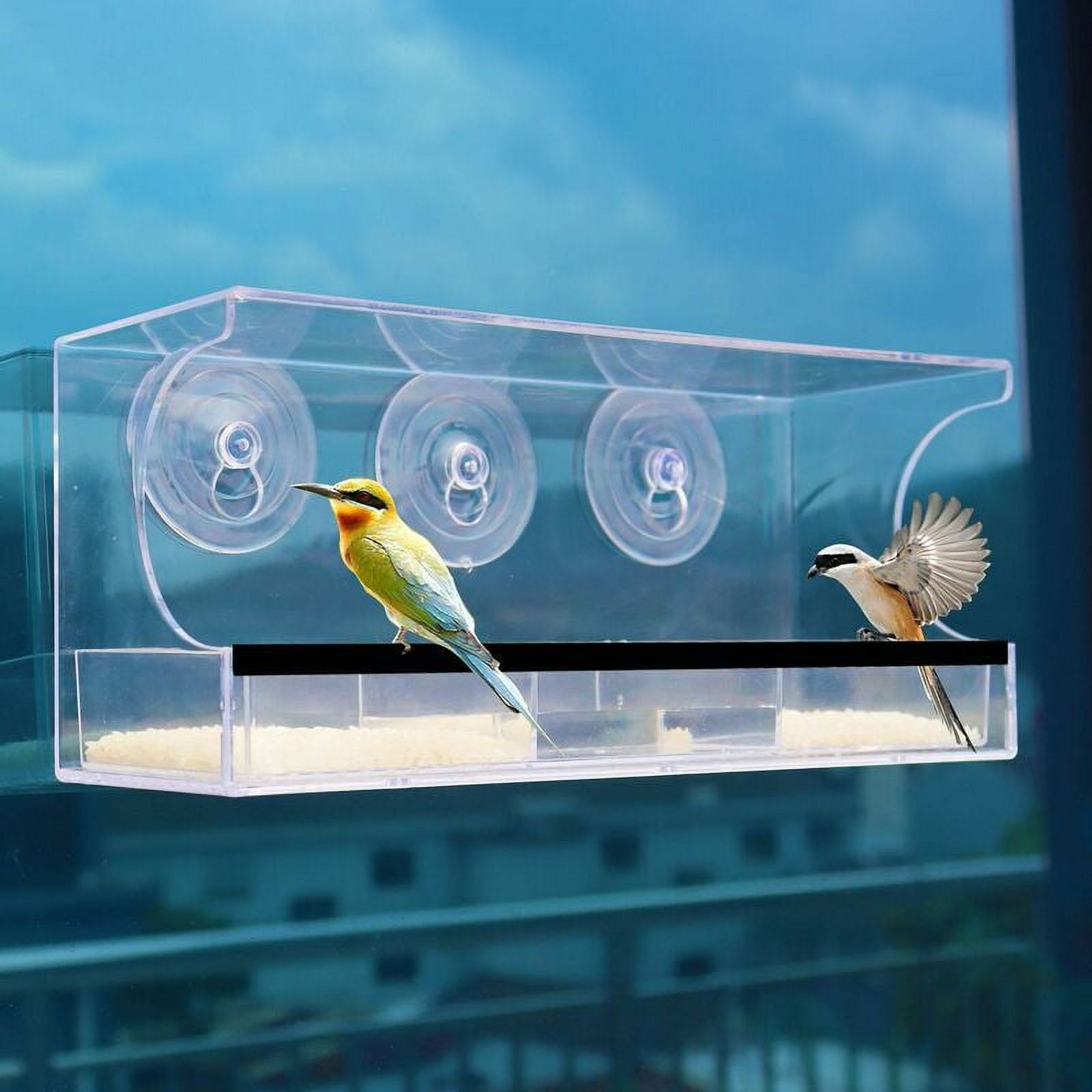 Window bird feeder with strong suction cups, suitable for cardinals ...