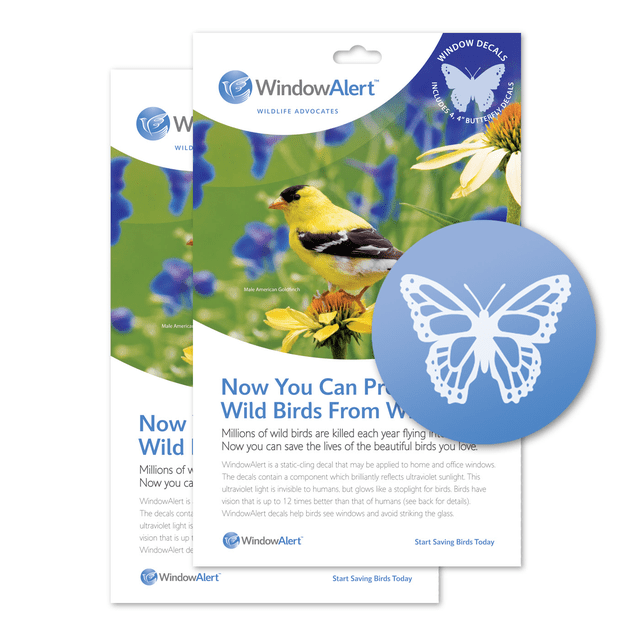WindowAlert Butterfly Anti-Collision Decal - UV-Reflective Window Decal ...