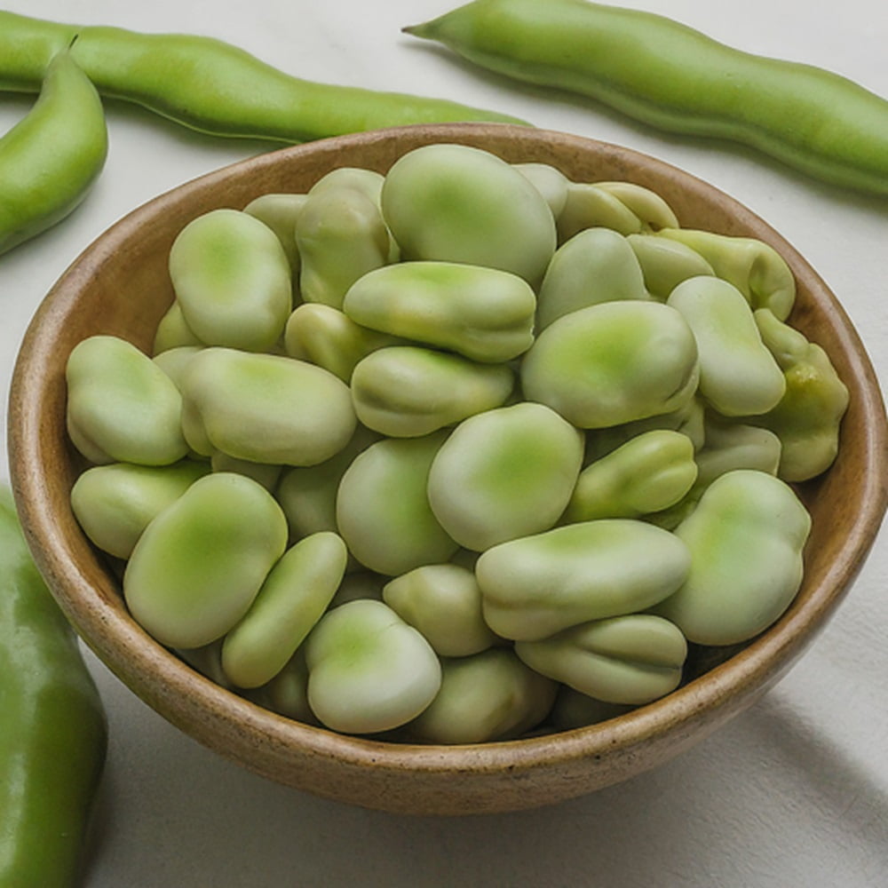 Windsor Fava Bean Seed, 25 Seeds, Non GMO, Heirloom, Beans used in ...