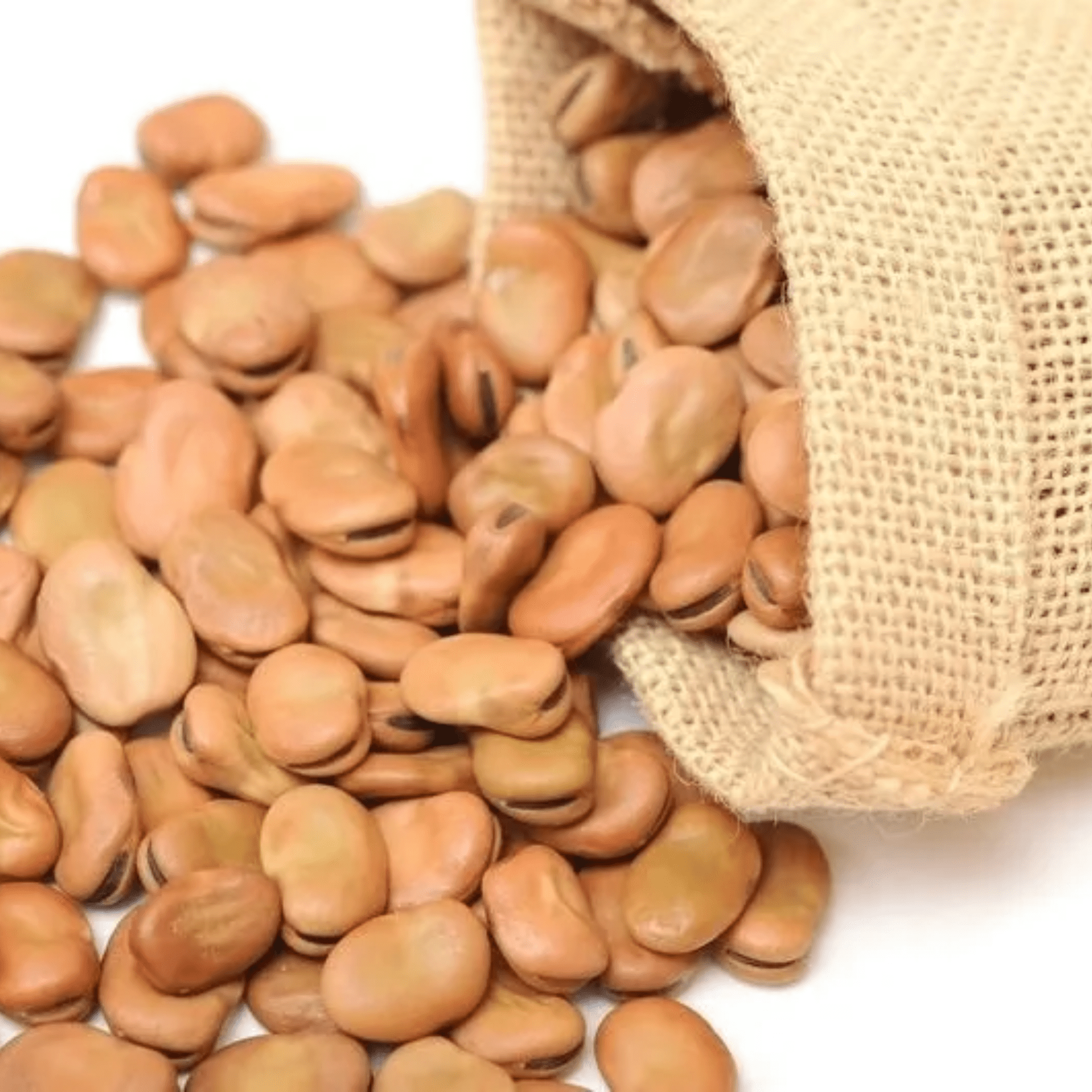 Windsor Fava Bean Seeds - Walmart.com