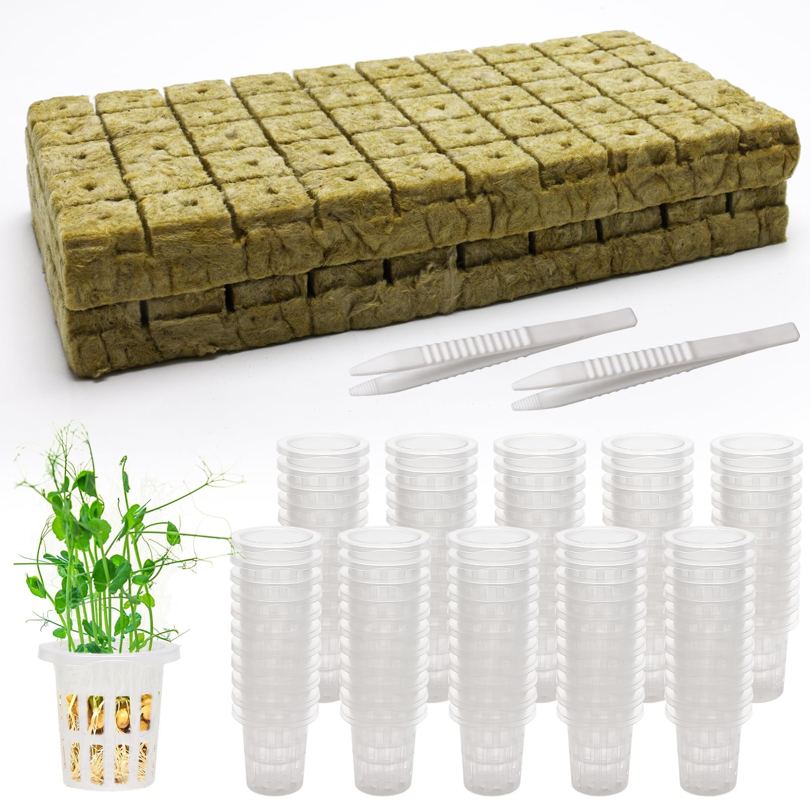Windspeed 202Pcs RockwoolEGSC Planting Cubes Set 1 Inch, 100P Starter ...